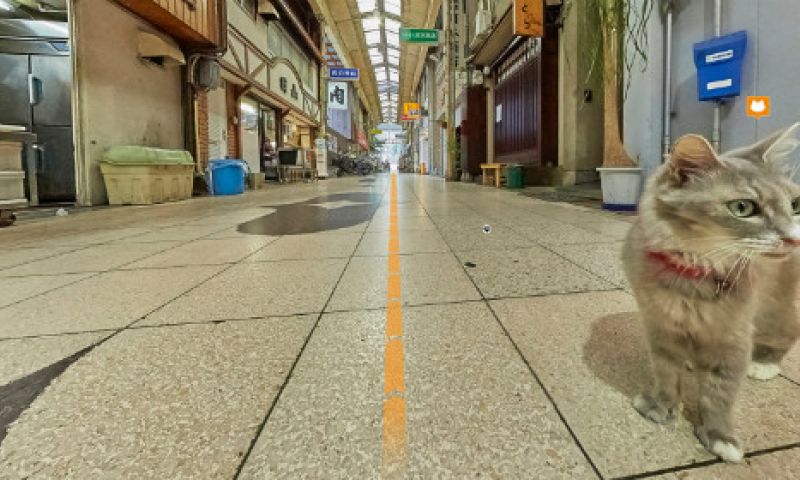 Banjer over de straten als een kat met Cat Street View - Bright