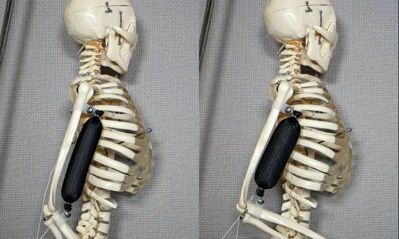 Deze 3D-geprinte spier is drie keer zo sterk als jij - Bright